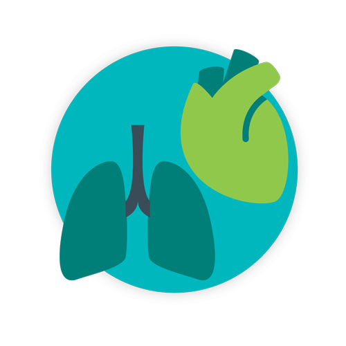 Anatomical Waste Disposal Solutions